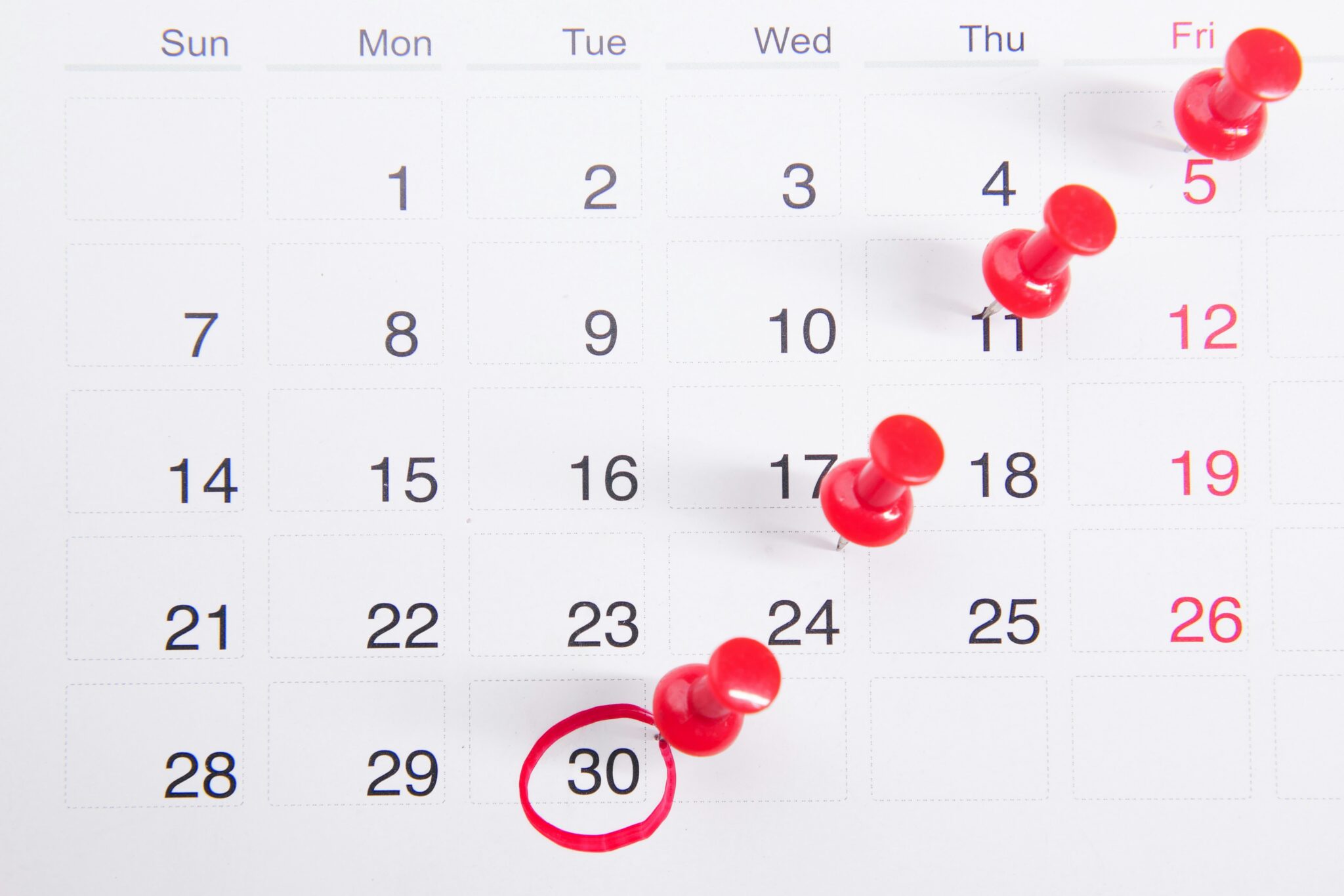 Countdown to Opening Day: The Checklist Market Managers Actually Need ...